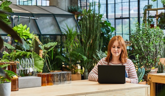 QuickBooks Online Canada Learn and Support